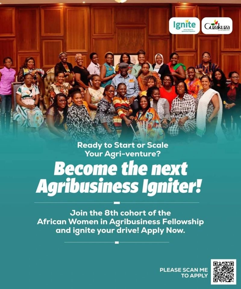 Ignite African Women In Agribusiness Fellowship Programme 2024