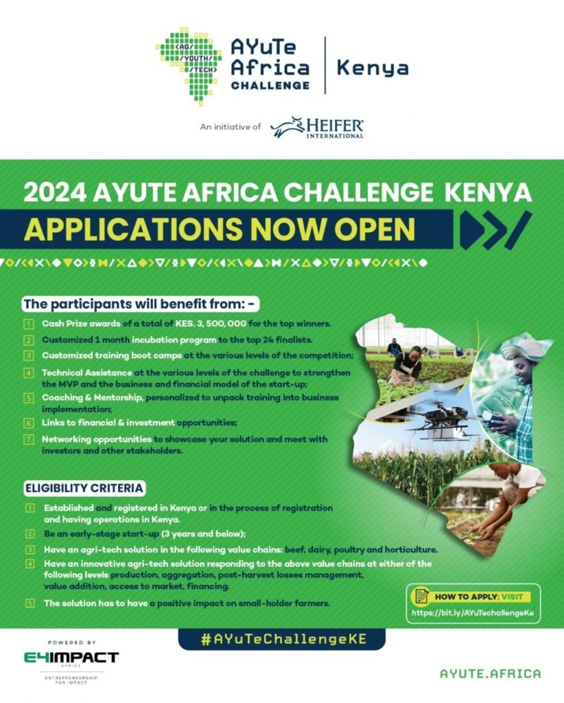 AYuTe Africa Challenge Kenya 2024 for young entrepreneurs (up to KSh 3. ...